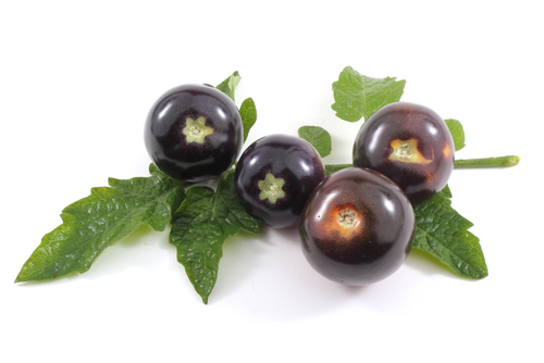 Alışılmışın Dışında 6 Siyah Besin ve Faydaları – Yemek Tarifleri ...